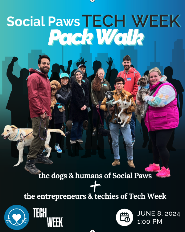 NY Tech Week Pack Walk - NYC Dog Events