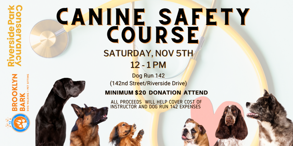 Canine Safety Training - NYC Dog Events