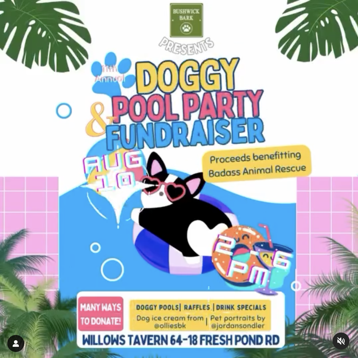 Doggy Pool Party - NYC Dog Events