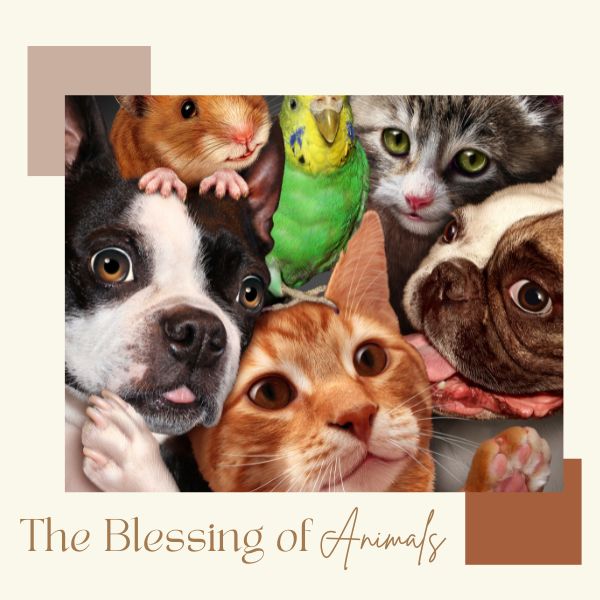Blessing of the Animals - St. Ann & the Holy Trinity Church - NYC Dog ...